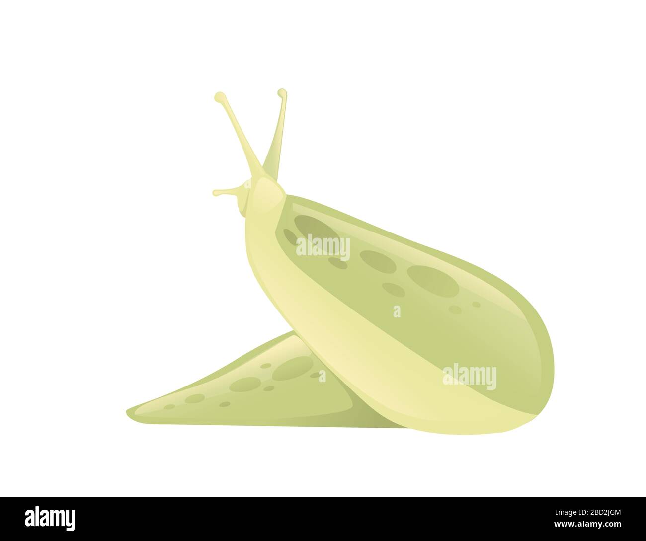 Green slug cartoon animal design flat vector illustration isolated on ...