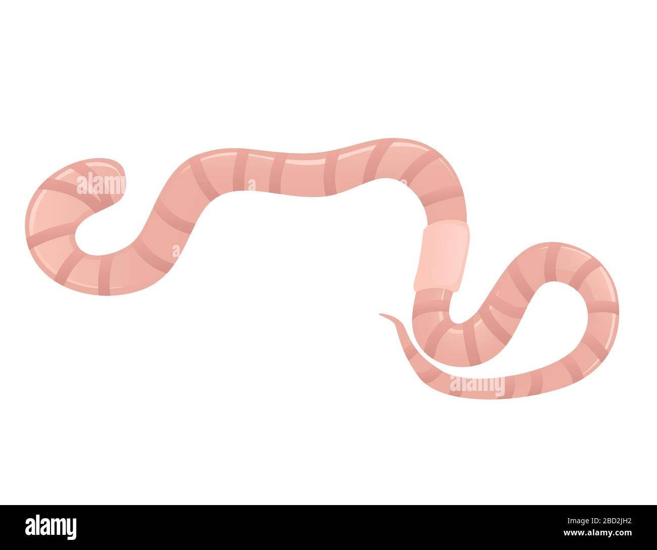 Earthworm crawling cartoon worm design flat vector illustration ...
