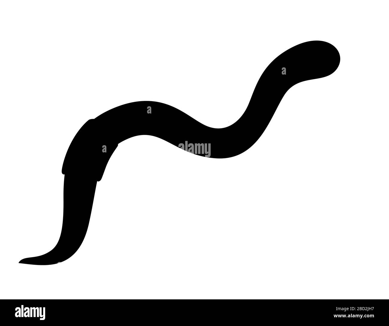 Black silhouette earthworm crawling cartoon worm design flat vector ...