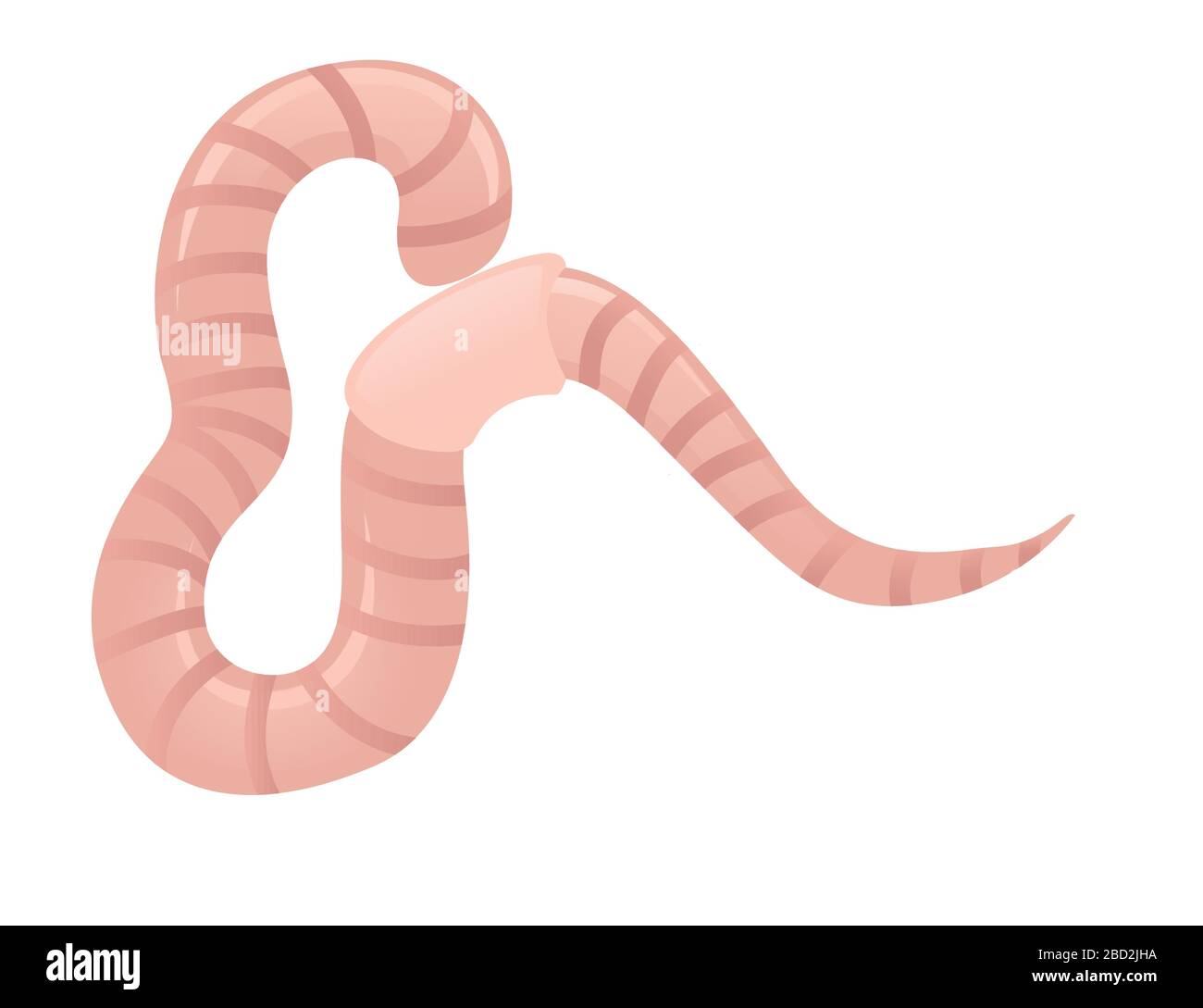 Earthworm crawling cartoon worm design flat vector illustration ...