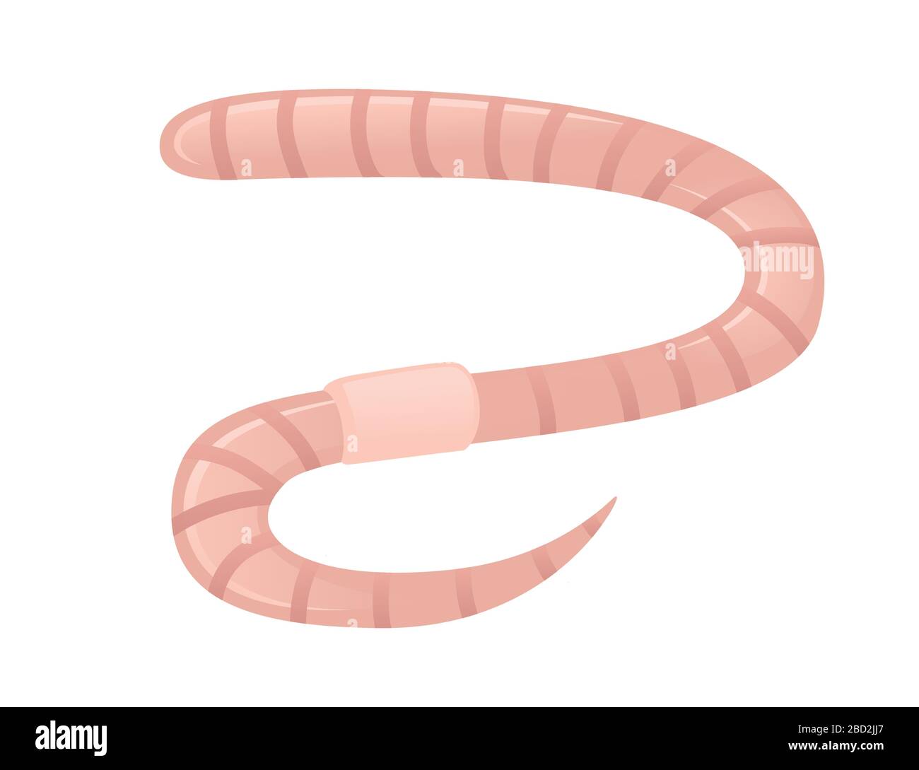 Earthworm crawling cartoon worm design flat vector illustration ...