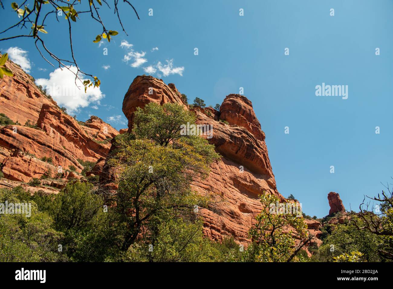 Red rocks of Sedona, Arizona Stock Photo - Alamy