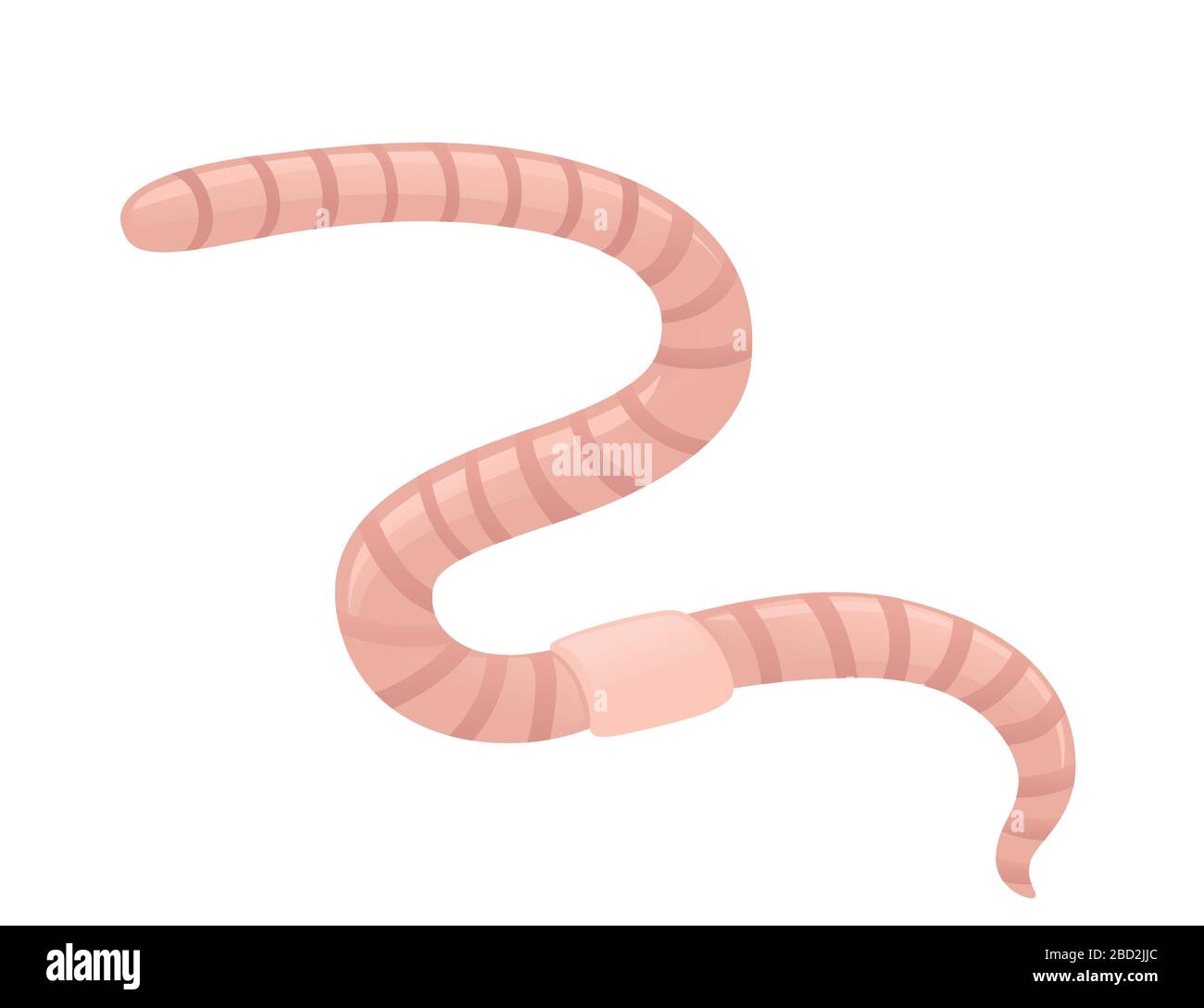 Earthworm crawling cartoon worm design flat vector illustration ...