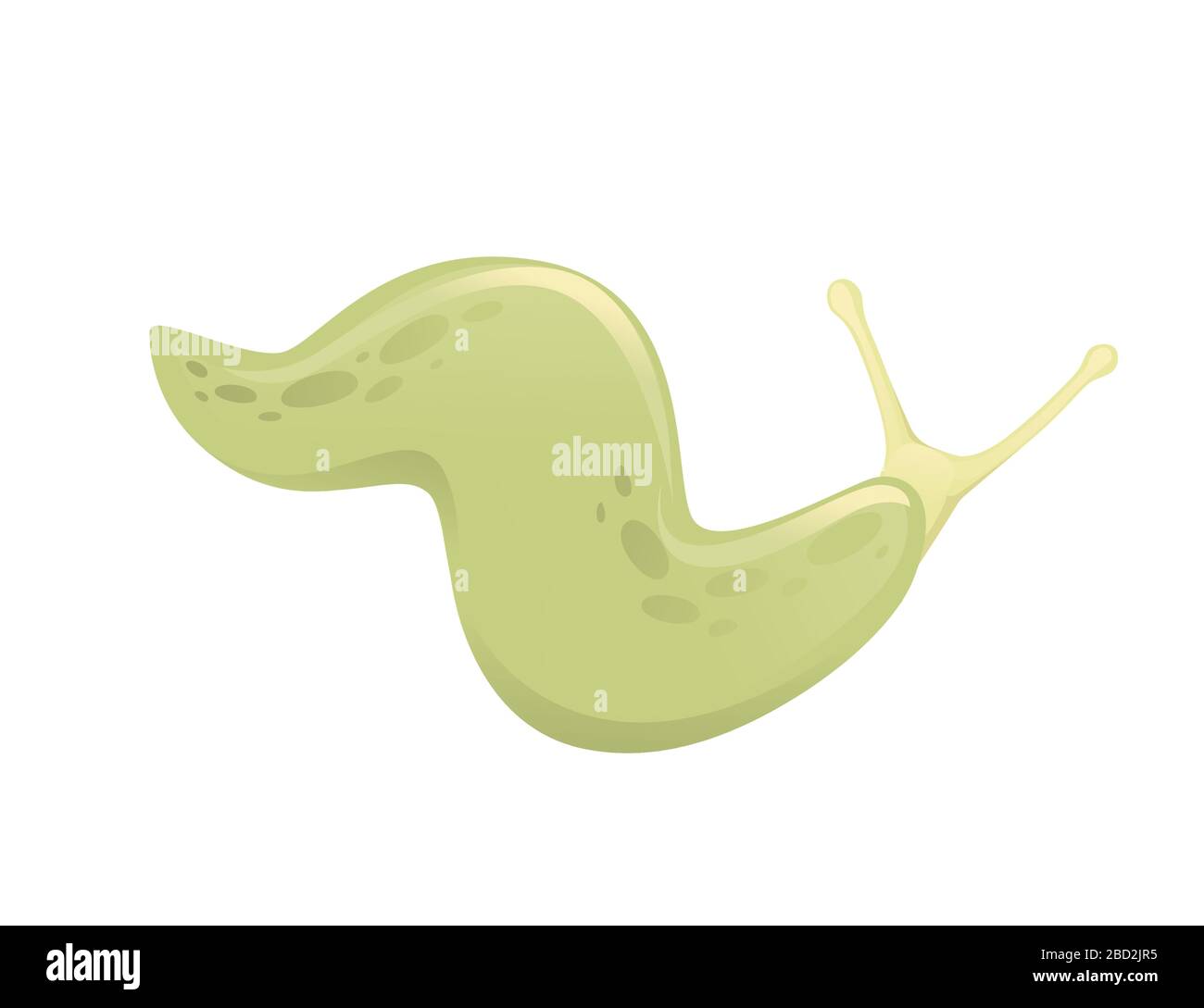 Green slug cartoon animal design flat vector illustration isolated on ...