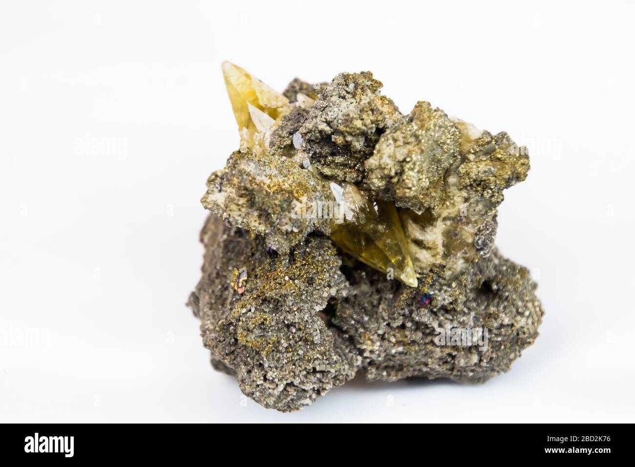 Specimen bag hi-res stock photography and images - Alamy