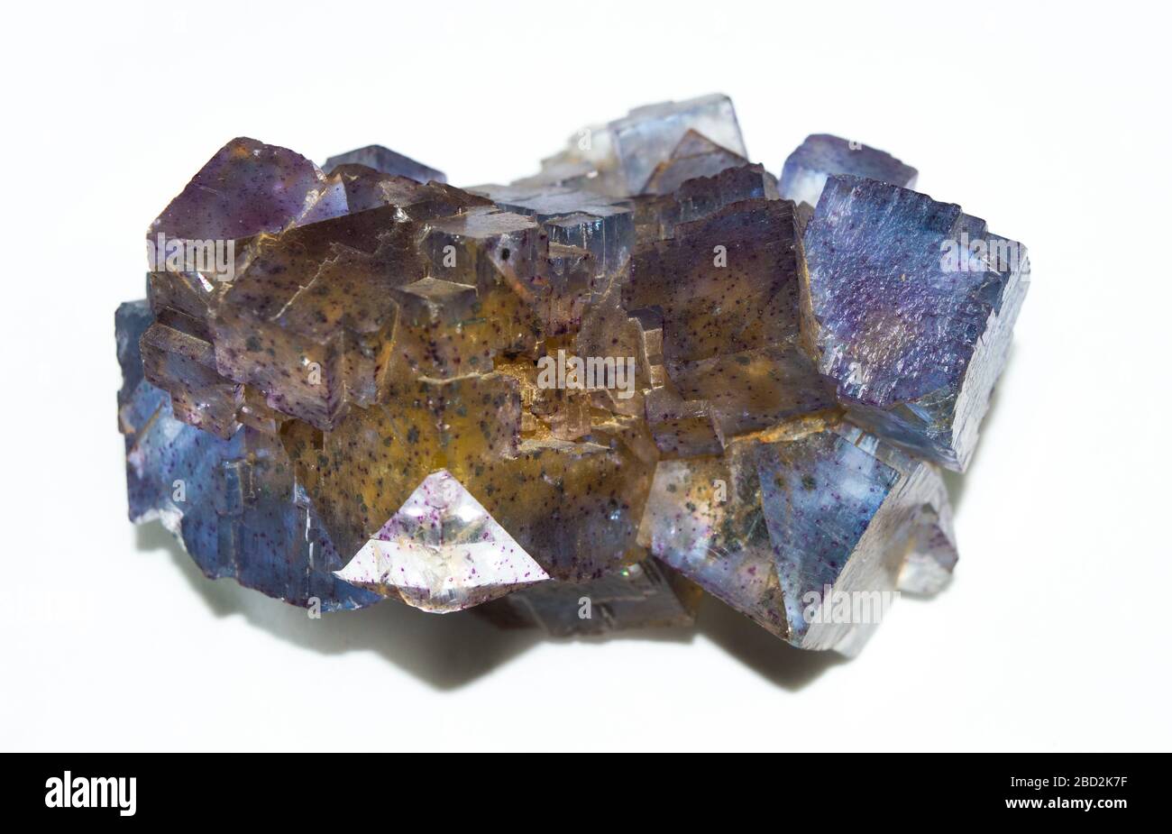 Macro specimen Cut Out Stock Images & Pictures - Alamy