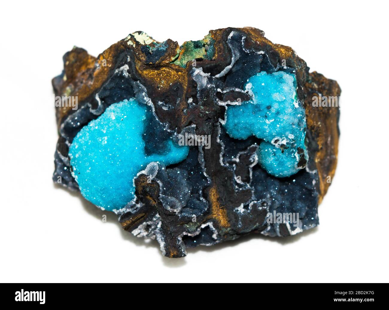 Macro specimen Cut Out Stock Images & Pictures - Alamy