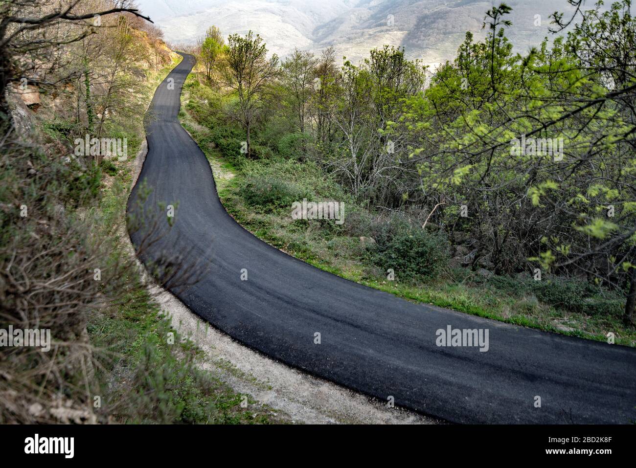 Long paved road in hi-res stock photography and images - Alamy
