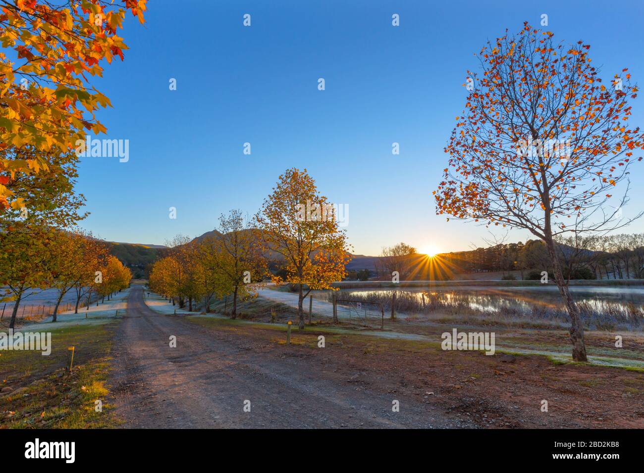 Sun rays reflect on the water in autumn Stock Photo - Alamy