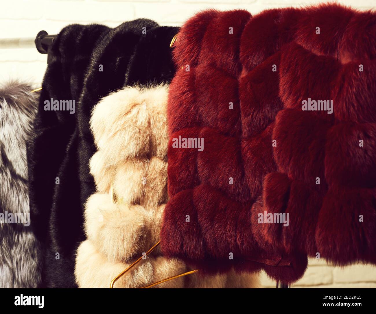 fashionable luxurious waist coats of fur hanging on rack on golden ...