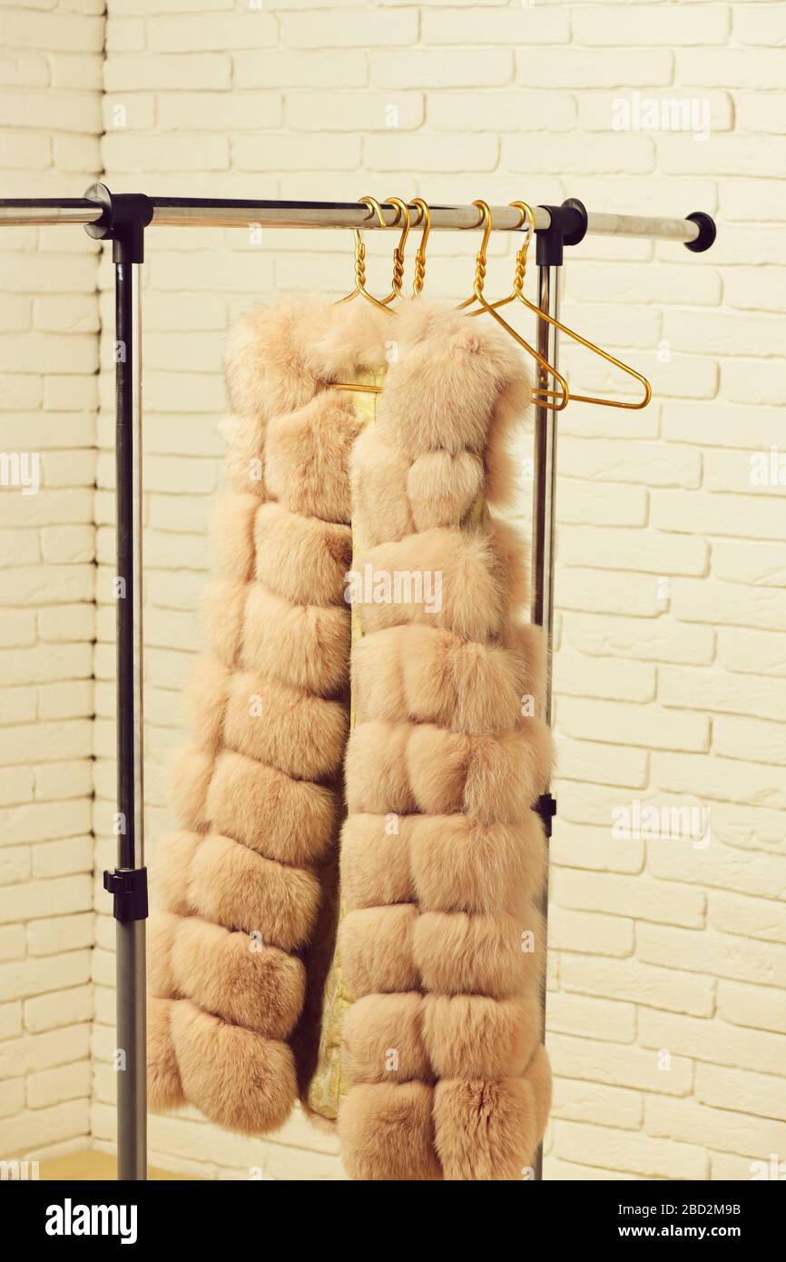 fashionable luxurious waist coat of fur hanging on rack on golden ...