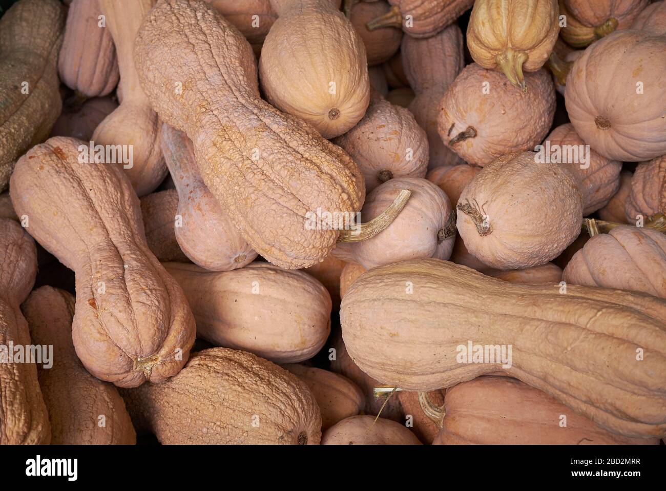 Wrinkled vegetable hi-res stock photography and images - Alamy