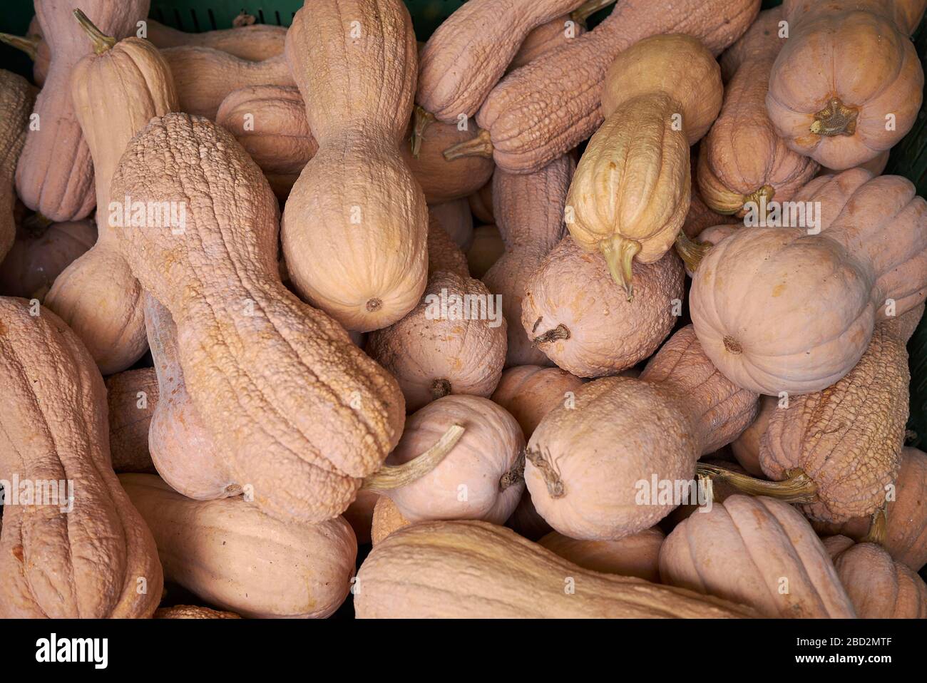 Wrinkled vegetable hi-res stock photography and images - Alamy