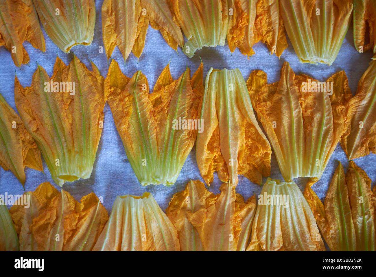 courgette flowers on a table Stock Photo - Alamy