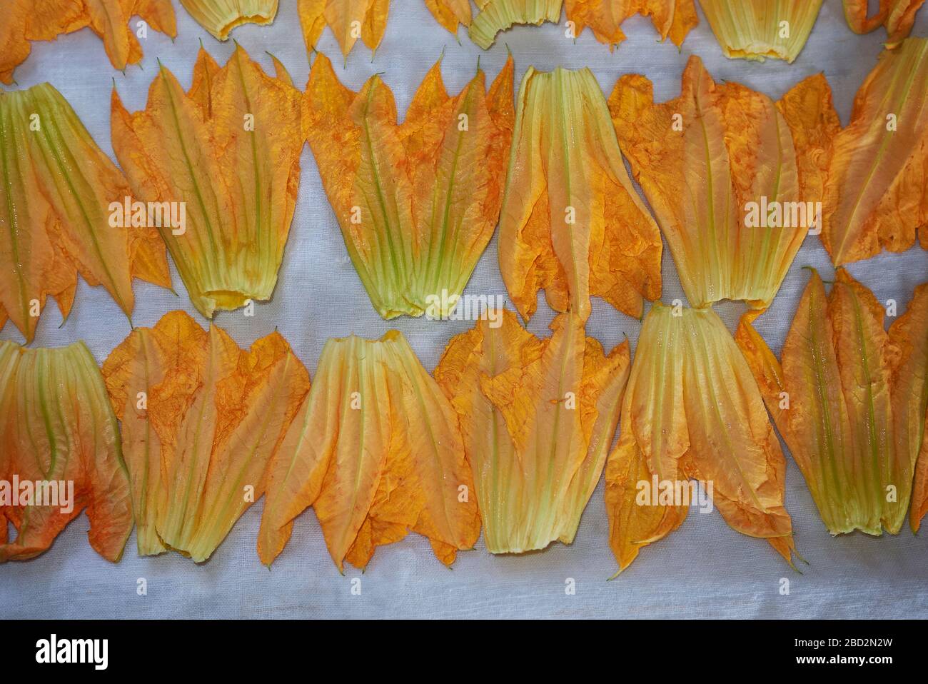 courgette flowers on a table Stock Photo - Alamy