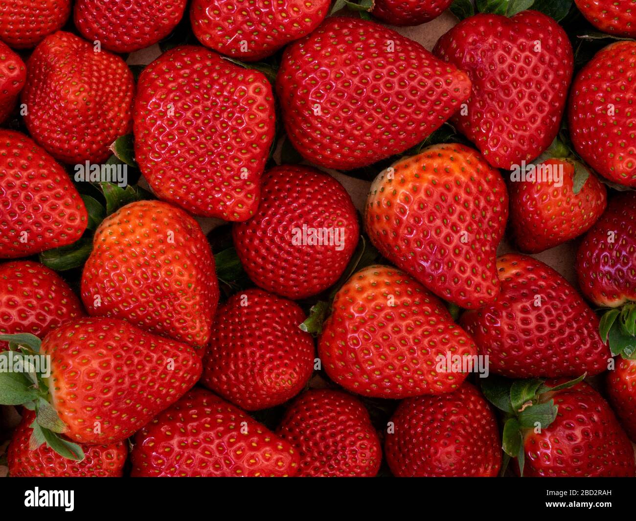 Top view of a group of strawberries Stock Photo - Alamy