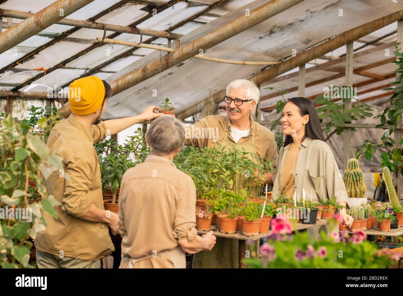 Positive nursery workers passing potted plant through table full of ...