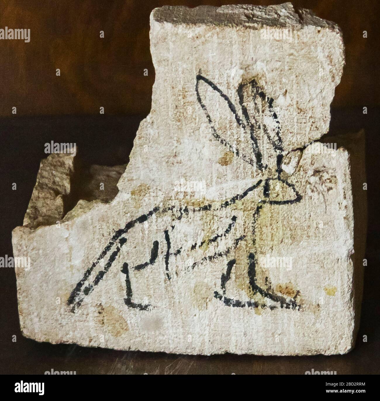 Egypt, Middle Egypt, Museum of Mallawi, photos taken in 2009, before ...