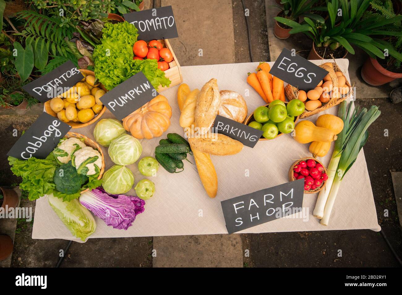 Above view of various assortment of fruits, vegetables and bread for ...