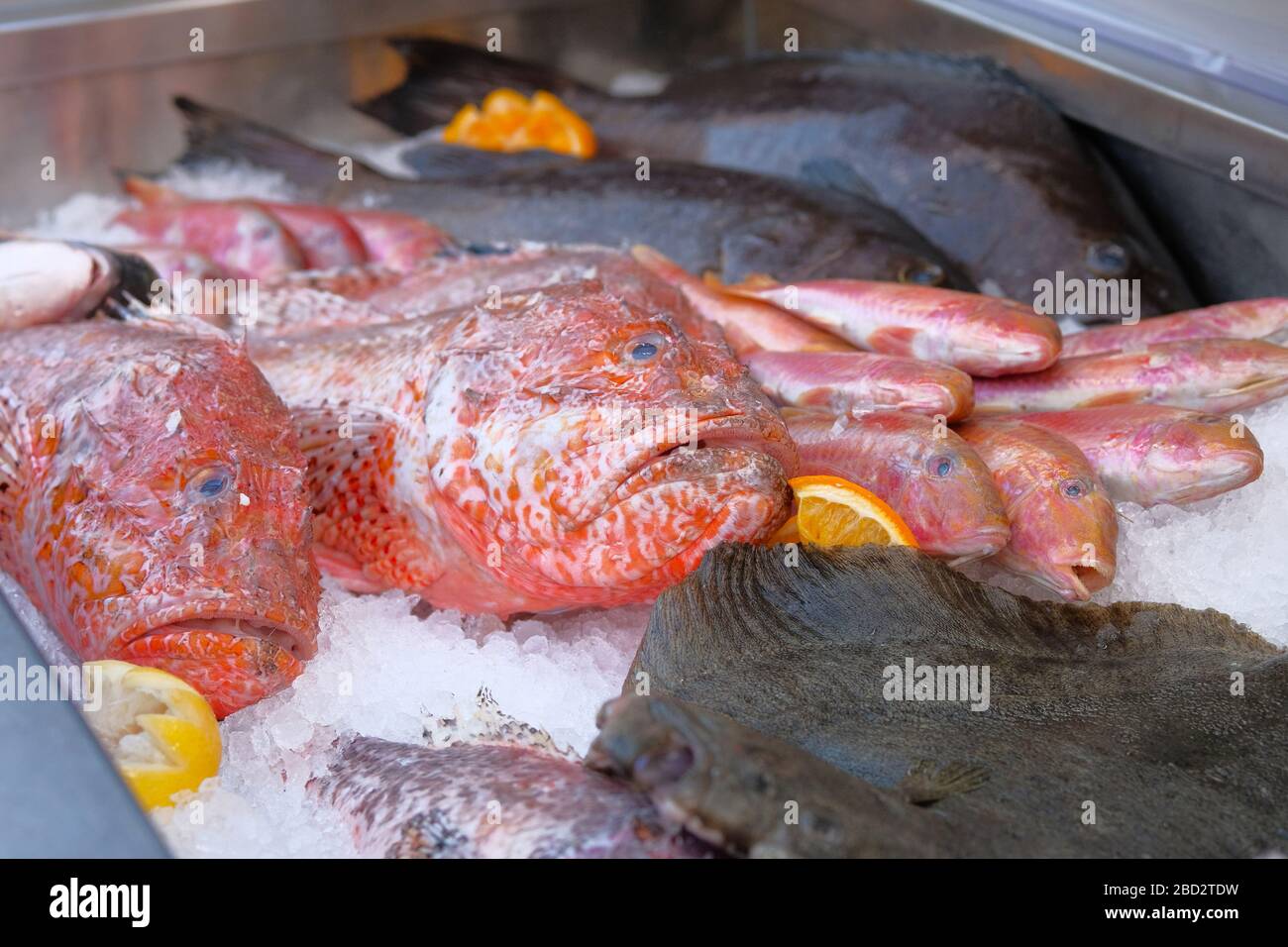 Variety of shiny fresh fish of different hues on ice. Fish market Stock ...