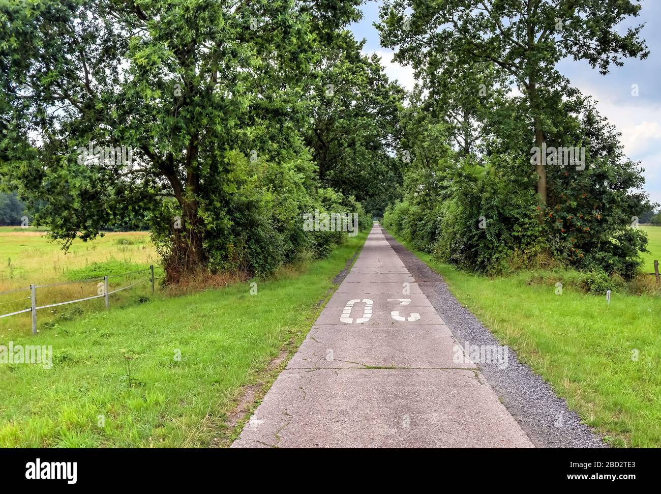 Beautiful perspective view on rural streets in a green environment ...