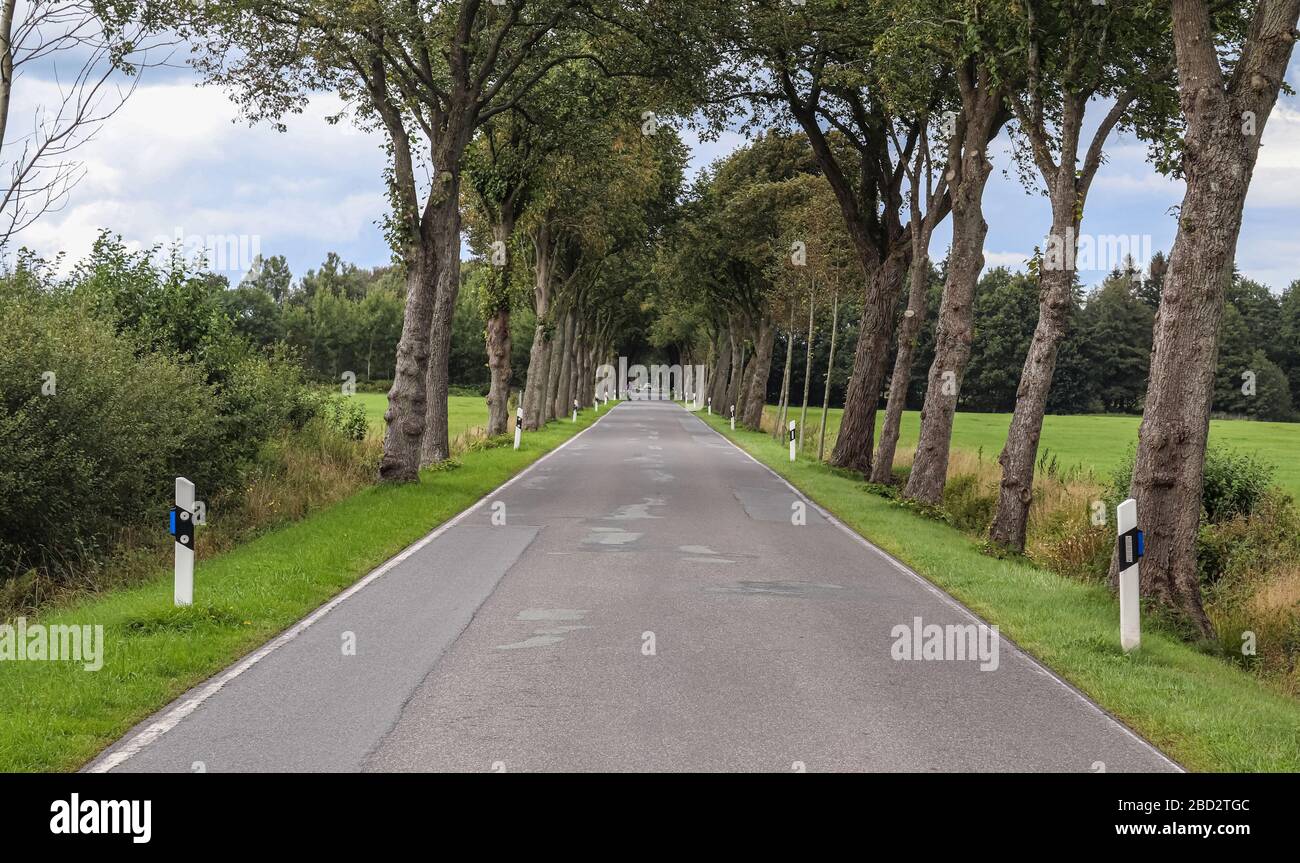 Beautiful perspective view on rural streets in a green environment ...