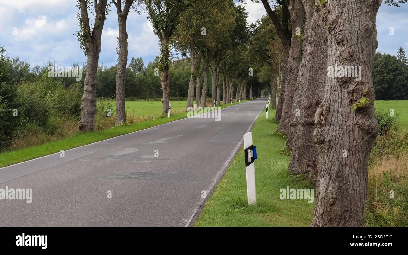 Beautiful perspective view on rural streets in a green environment ...