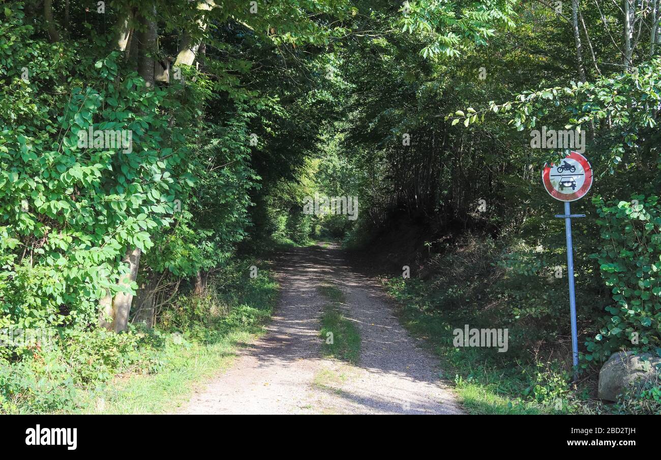 Beautiful perspective view on rural streets in a green environment ...