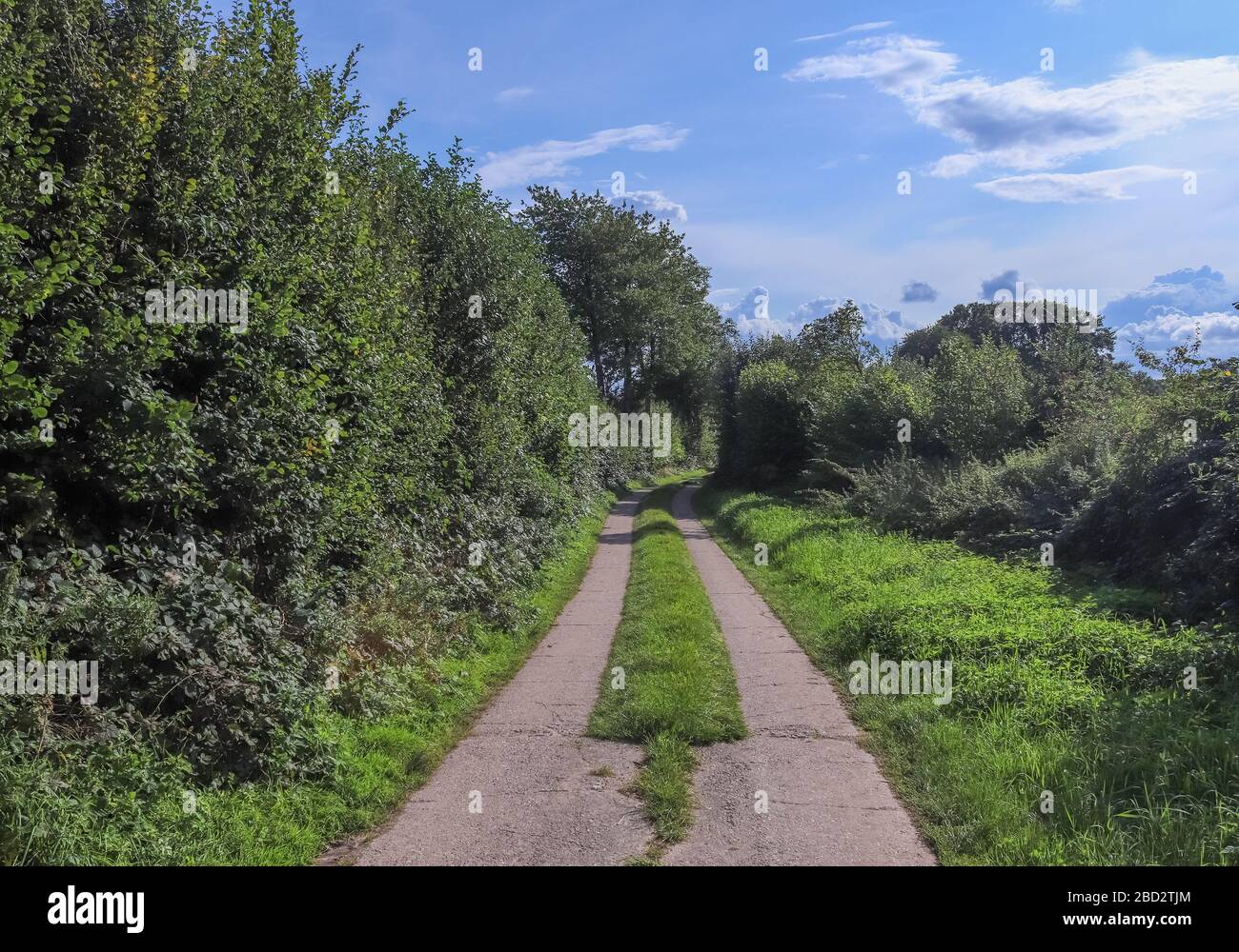Beautiful perspective view on rural streets in a green environment ...