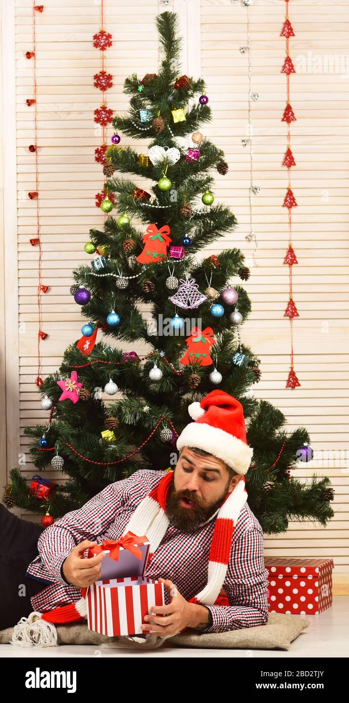 Man with beard opens present box. Guy in hat and scarf lies by fir tree ...