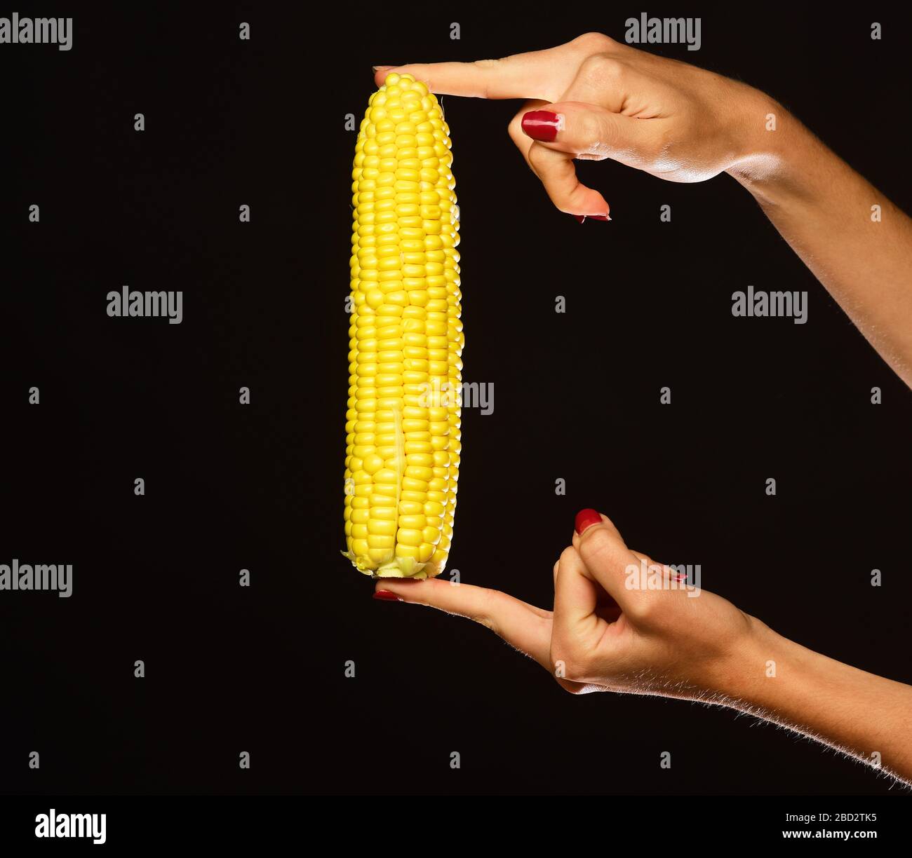 Corn cob in yellow color in girls fingers. Autumn maize harvest idea ...