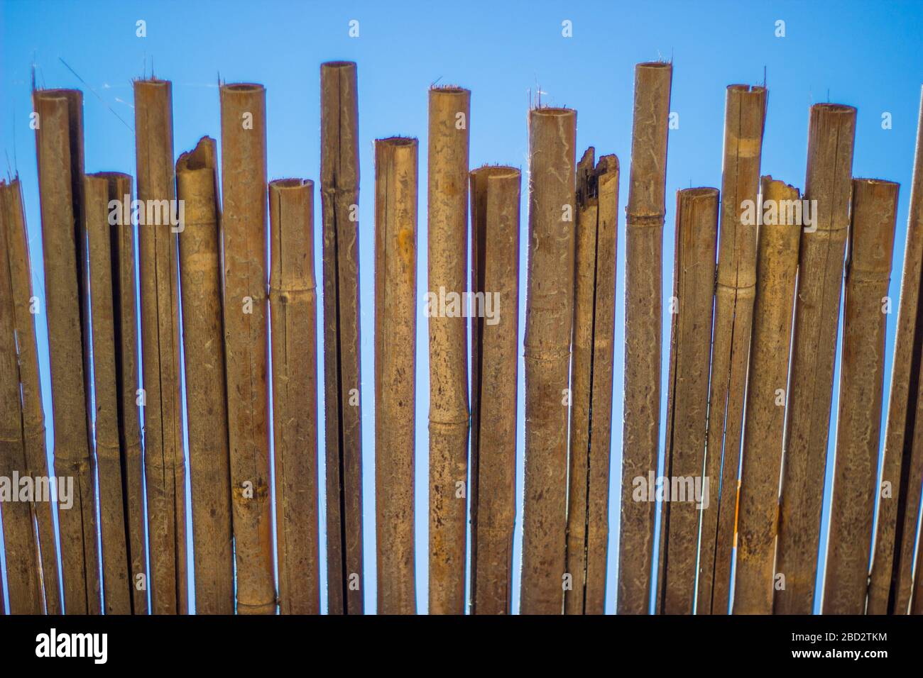 Wicker roof beach umbrella and blue sky. Natural bamboo sunshades and ...