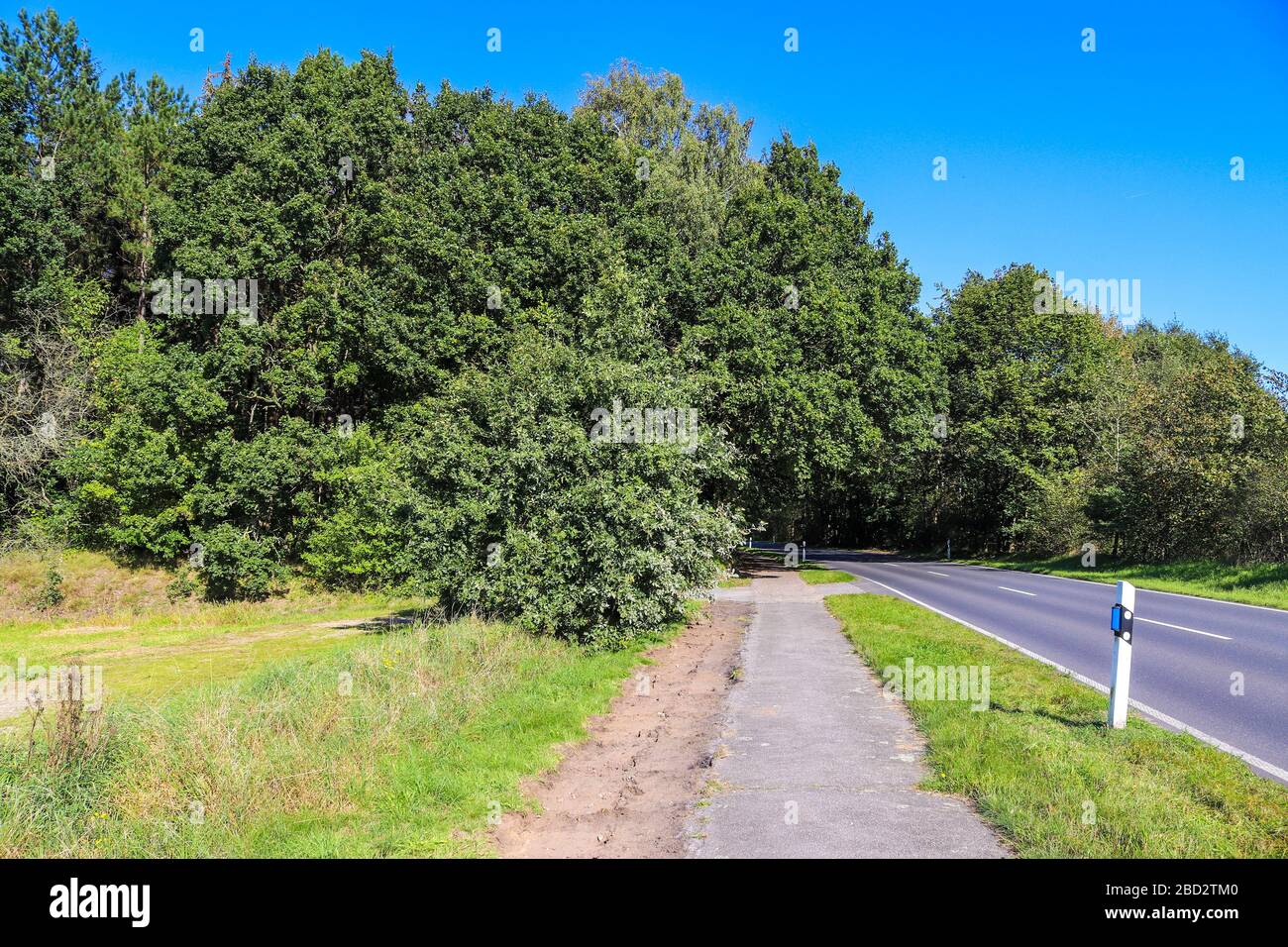Beautiful perspective view on rural streets in a green environment ...