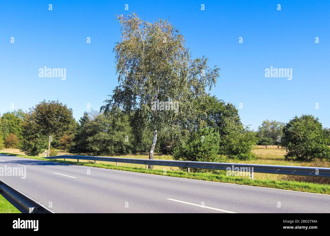 Beautiful perspective view on rural streets in a green environment ...