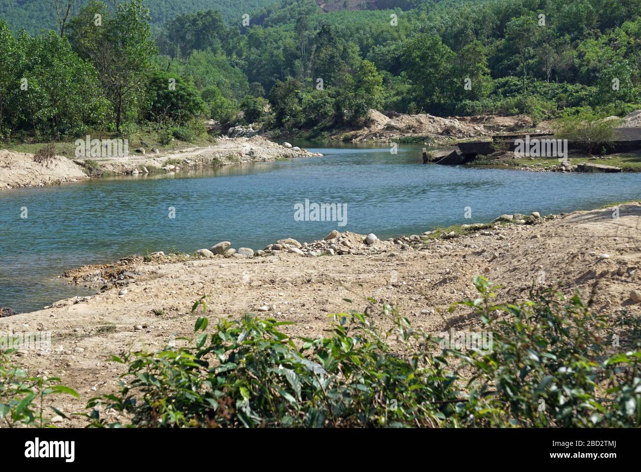 landscape in the bach ma national park in vietnam Stock Photo - Alamy