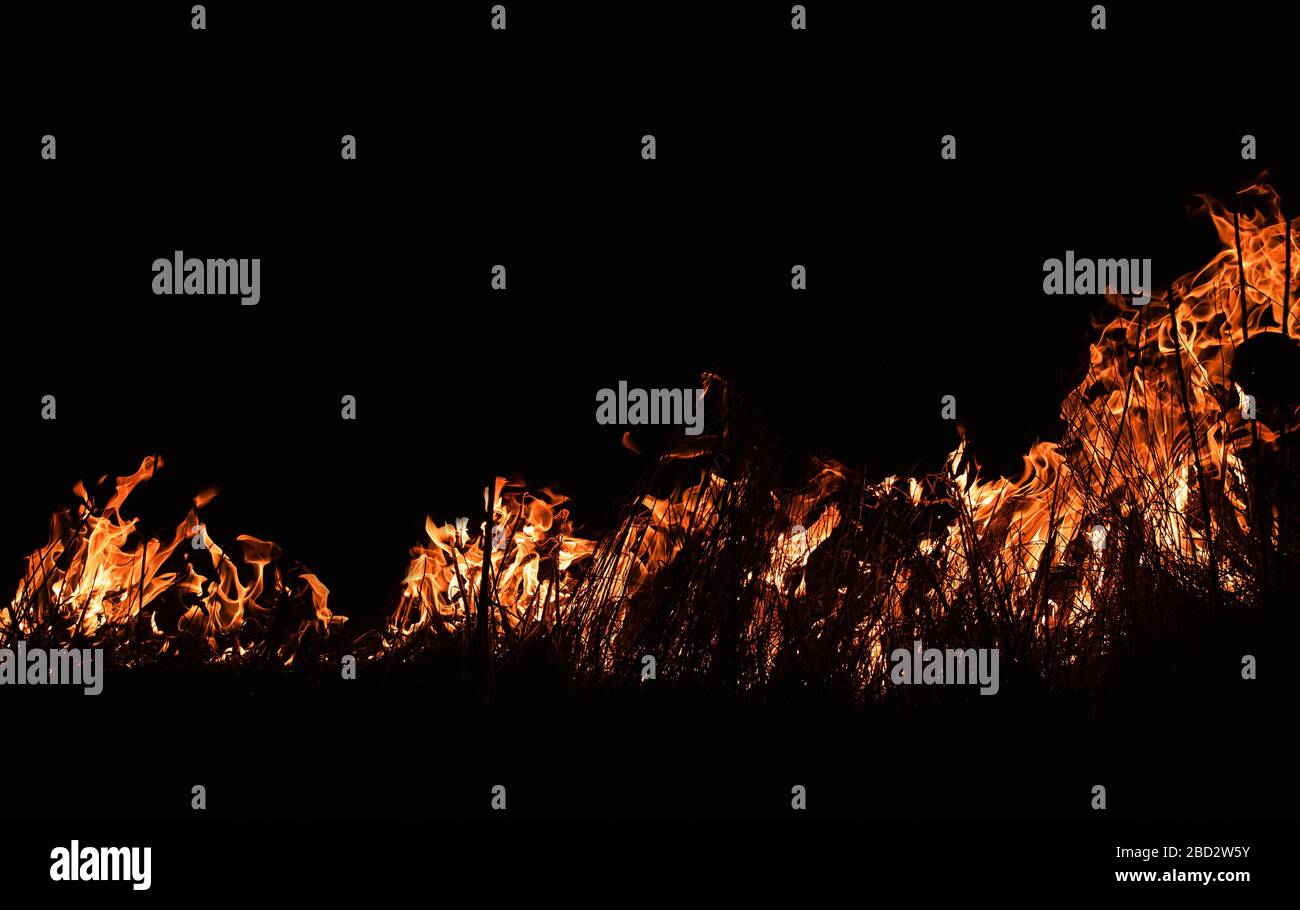 burning dry field in night time Stock Photo - Alamy
