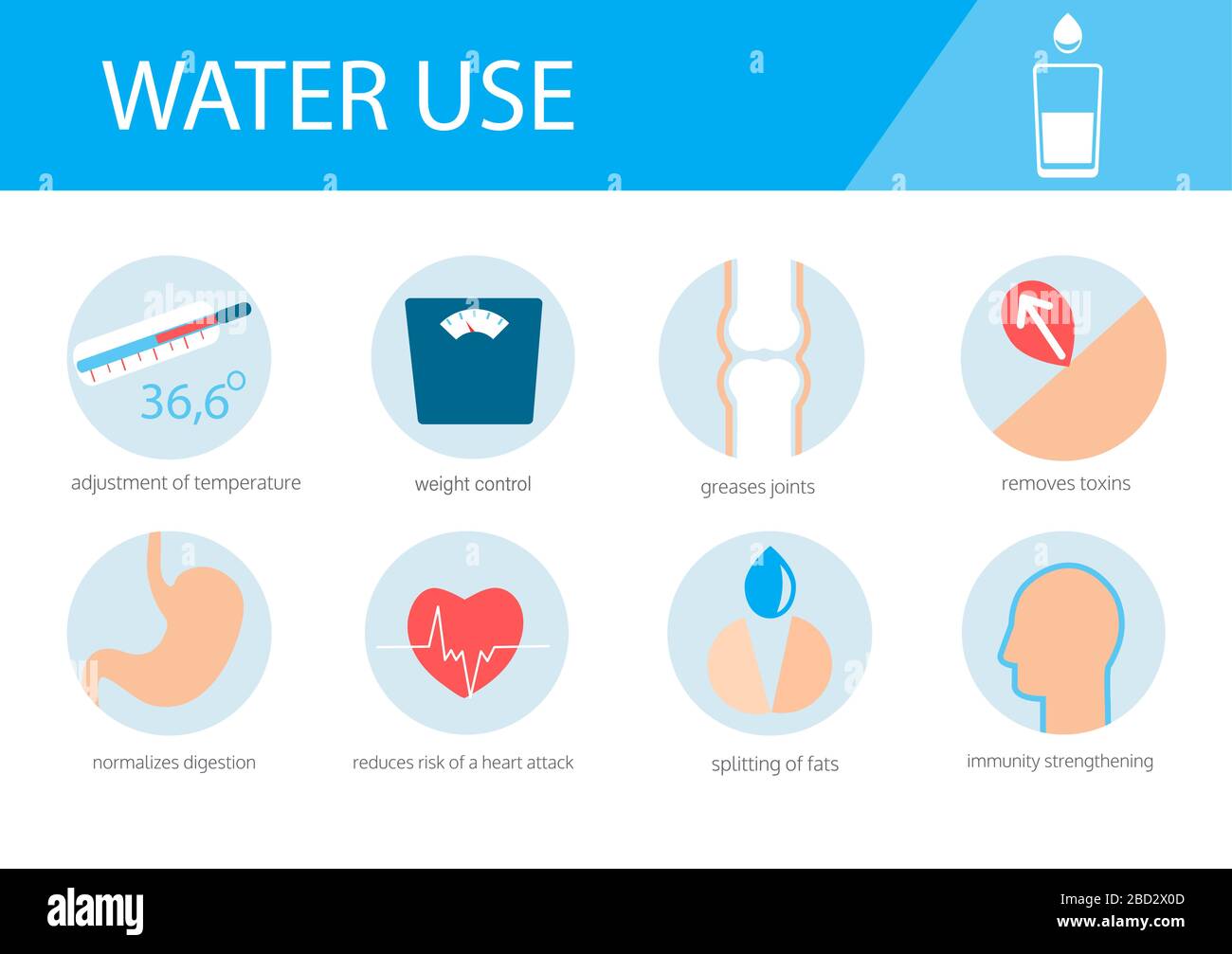 infographic of using water, benefits for the body Stock Vector Image ...