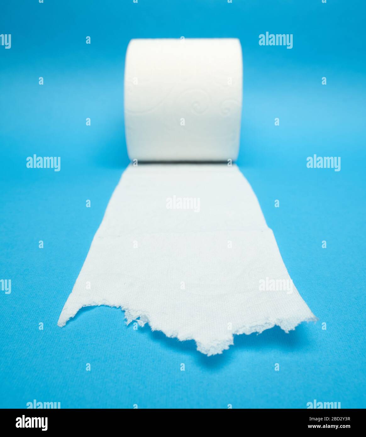 Torn off white toilet paper roll on minimalistic blue background Stock ...