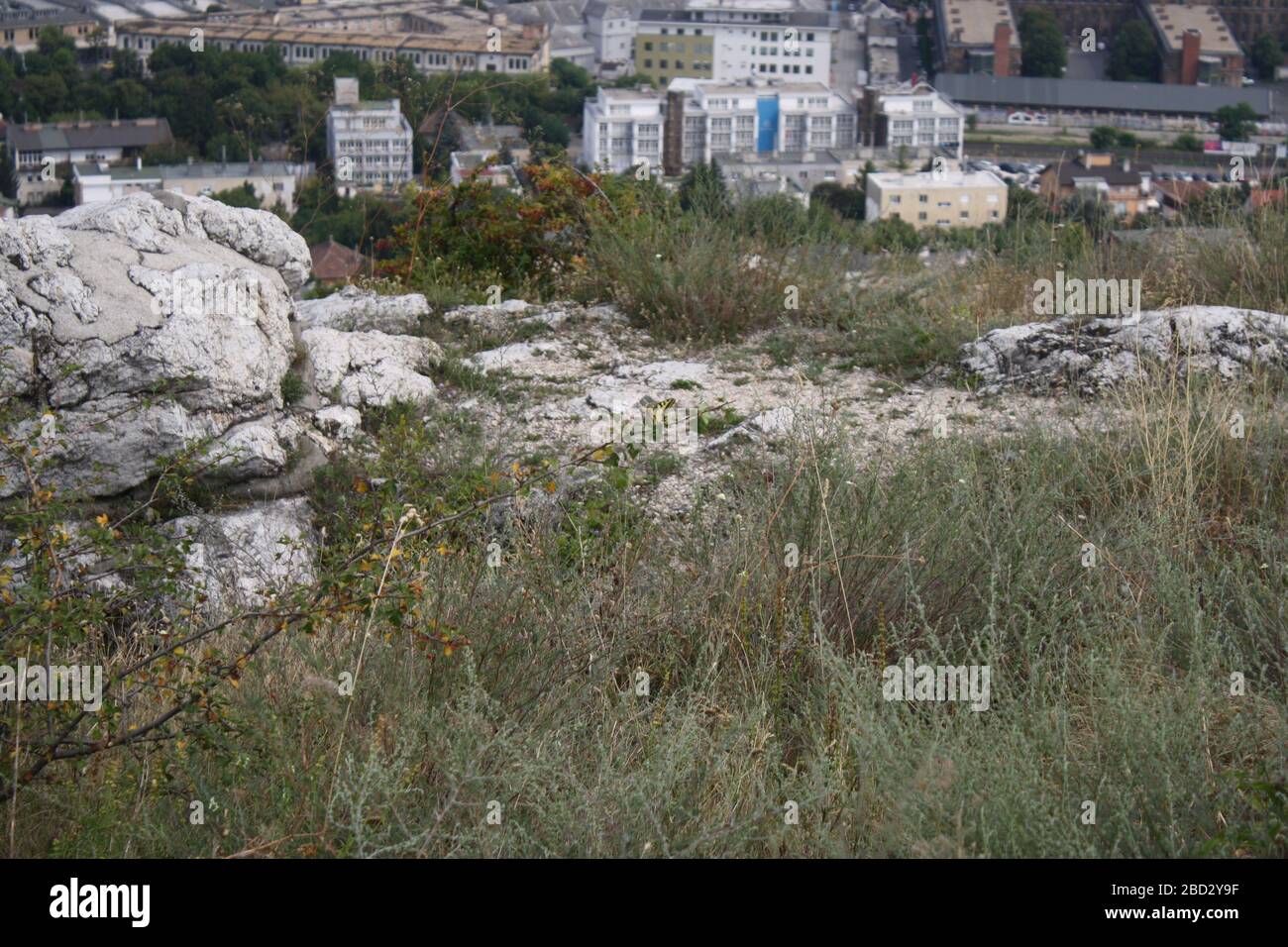 A castle on top of a grass covered field Stock Photo - Alamy