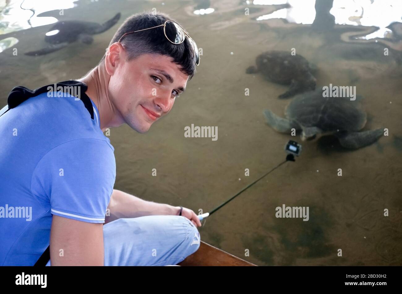 Pictures of turtles hi-res stock photography and images - Alamy