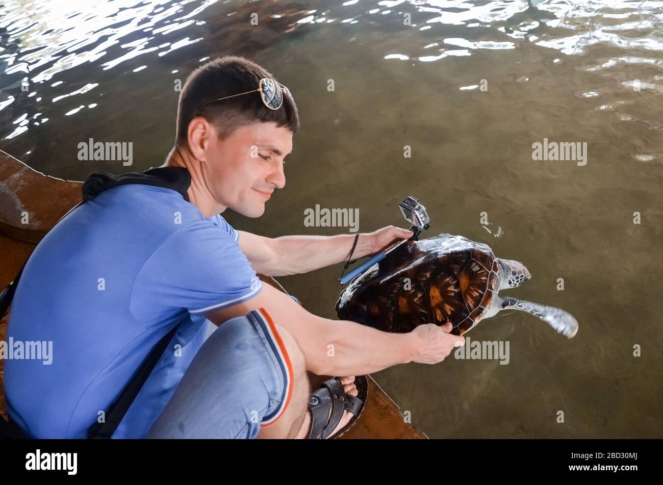 Pictures of turtles hi-res stock photography and images - Alamy