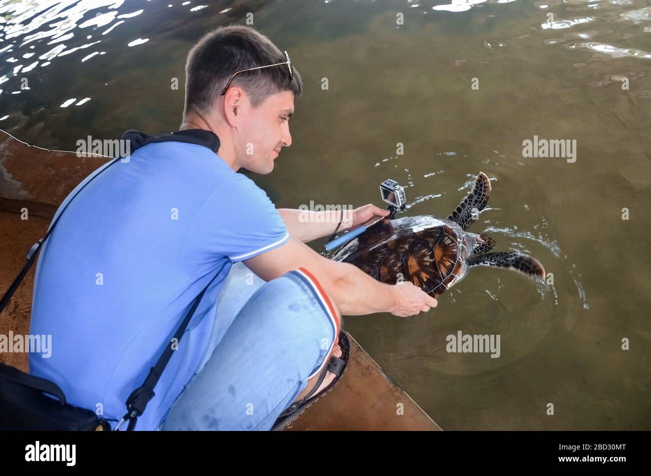 Save turtles hi-res stock photography and images - Alamy
