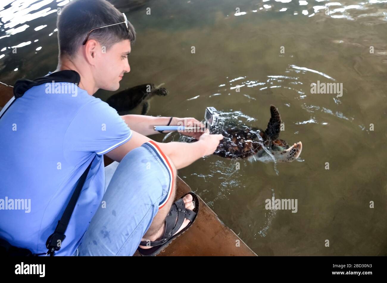 Saving the animals hi-res stock photography and images - Alamy