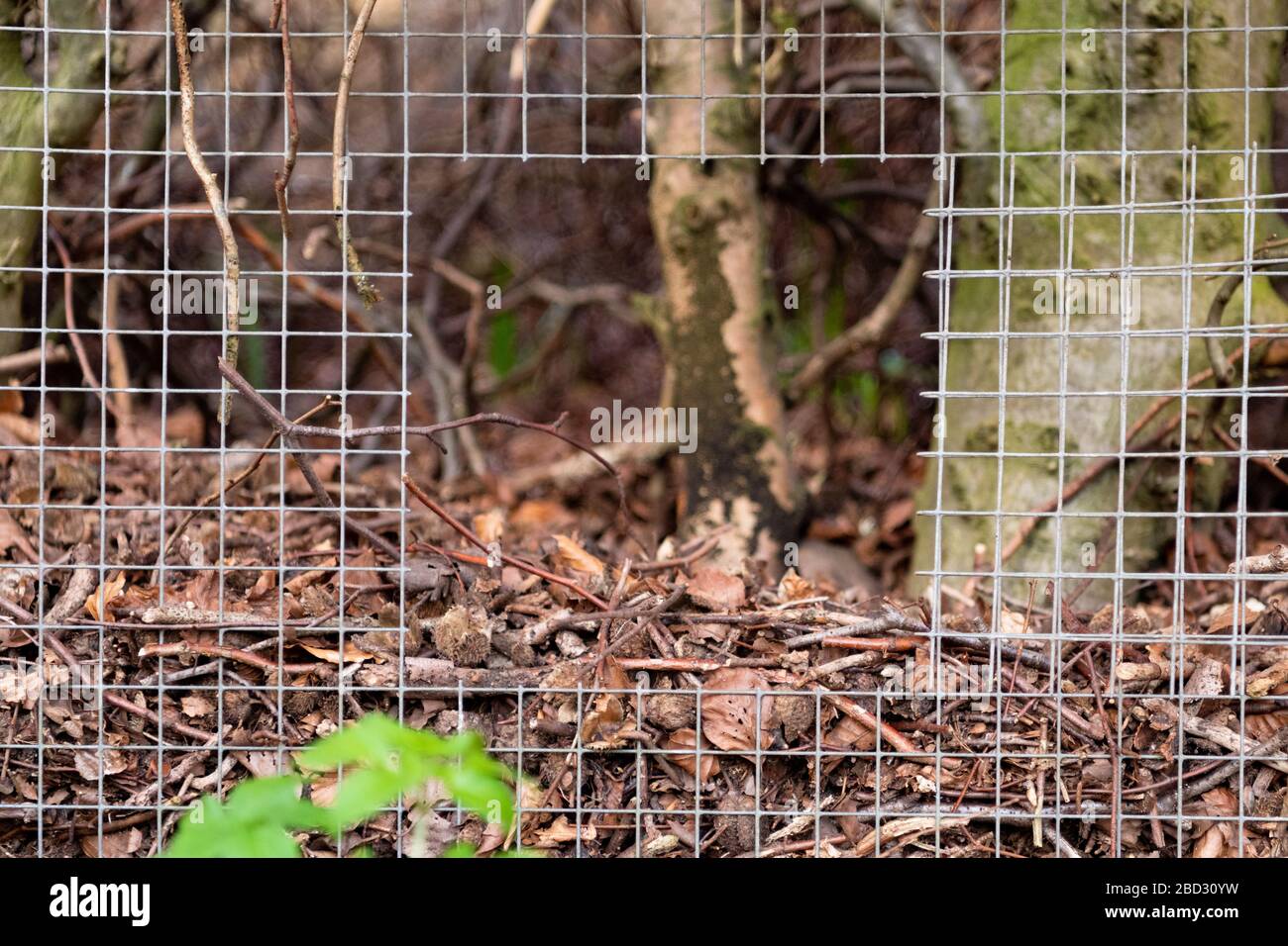 hole cut in garden fence to allow hedgehogs to pass from one garden to ...