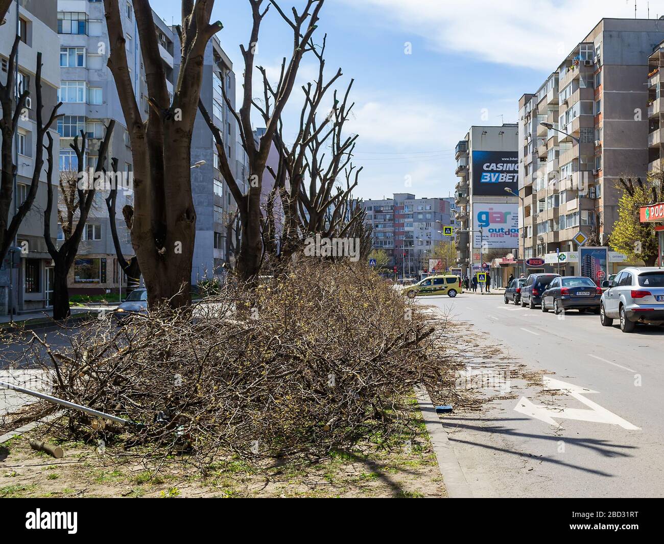 Varna, Bulgaria, April 06, 2020. Pile of pruned tree branches stacked ...