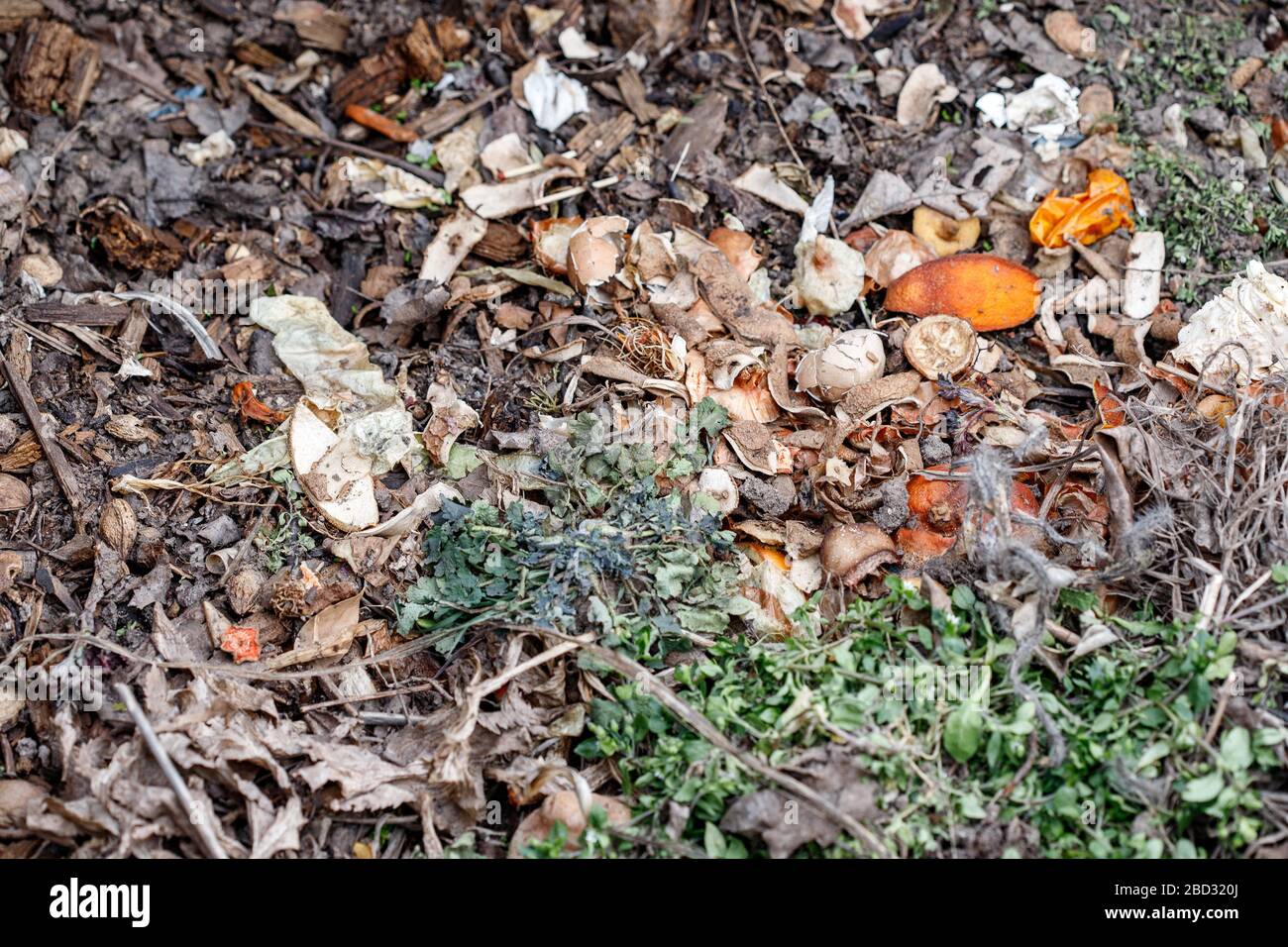 Fresh compost pile, with garden material. Recycled Food. Fertilizer ...