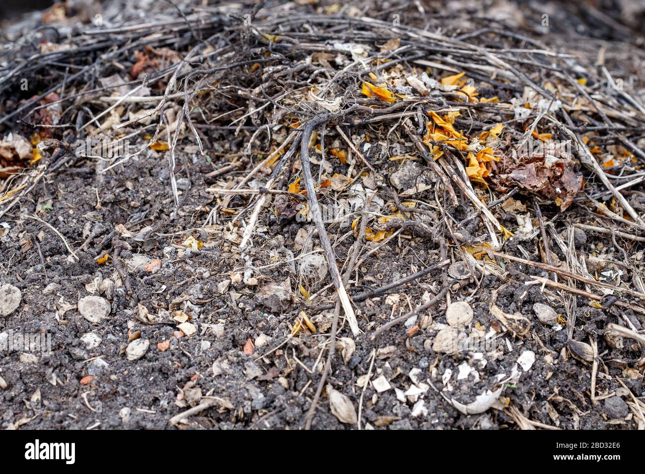 Fresh compost pile, with garden material. Recycled Food. Fertilizer ...