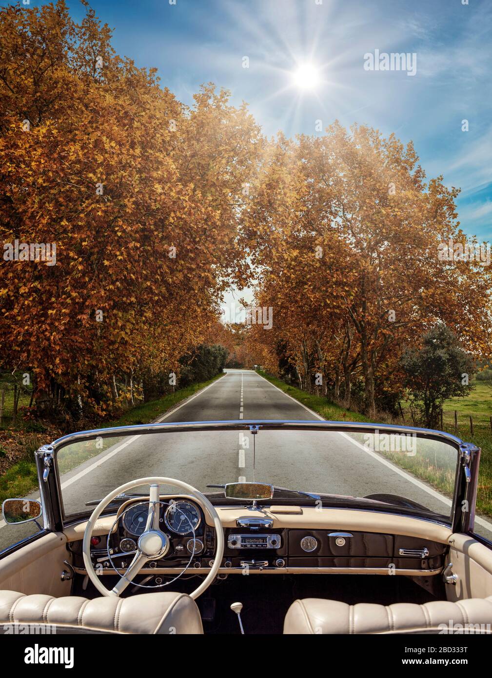 Interior of vintage car on the tar road in autumn. Trees on the side ...
