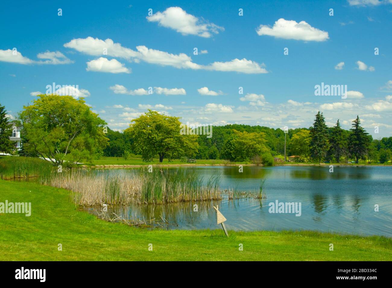 Country Pond on a Summer Day Stock Photo - Alamy