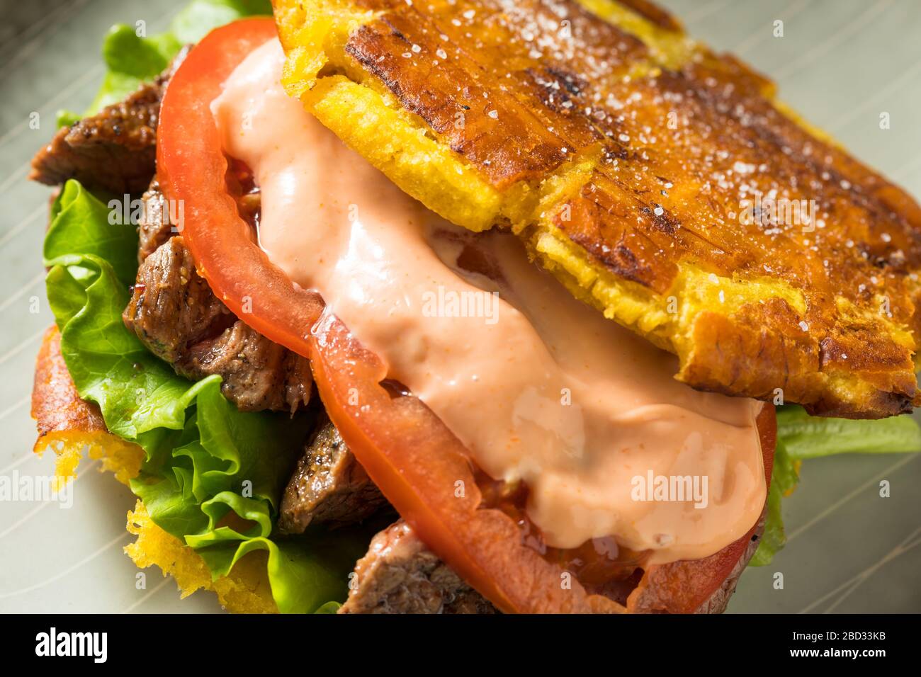Homemade Puerto Rican Jibarito Steak Sandwich with Lettuce and Tomato ...